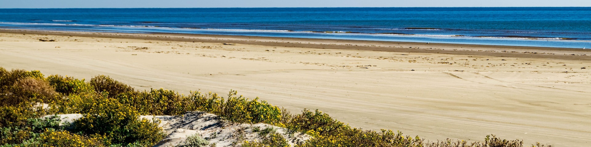Uma praia com dunas de areia e vegetação escassa.
