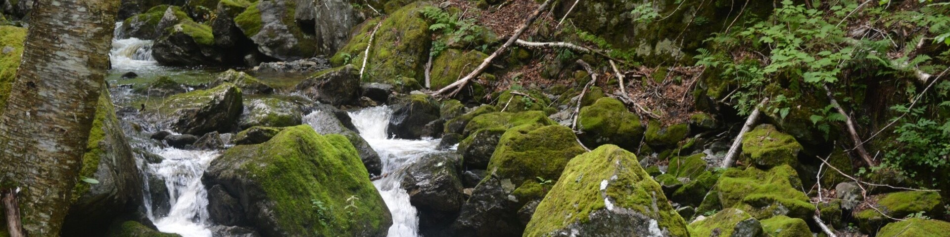 Favorite place in on Cape Breton Island