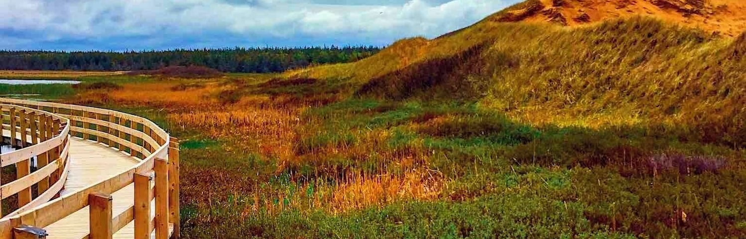 Boardwalk trail in Prince Edward Island
#PEI #canada #trail #sanddunes #boardwalk