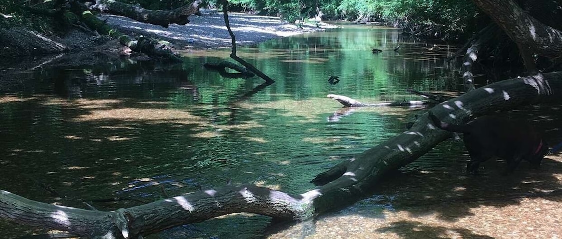 Such an amazing spot to stumble upon!
#TakeAHike