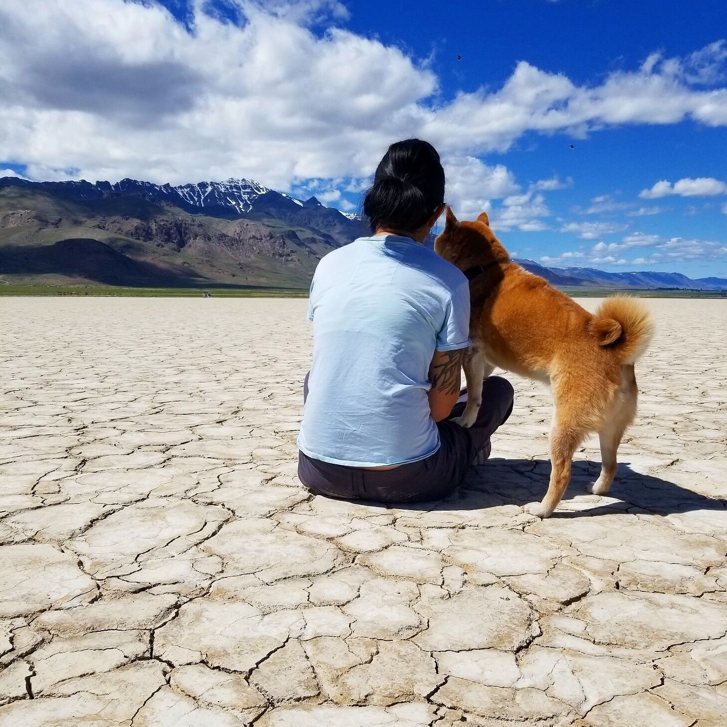 Uma pessoa sentada em terreno rachado com um cão, olhando para uma paisagem montanhosa.