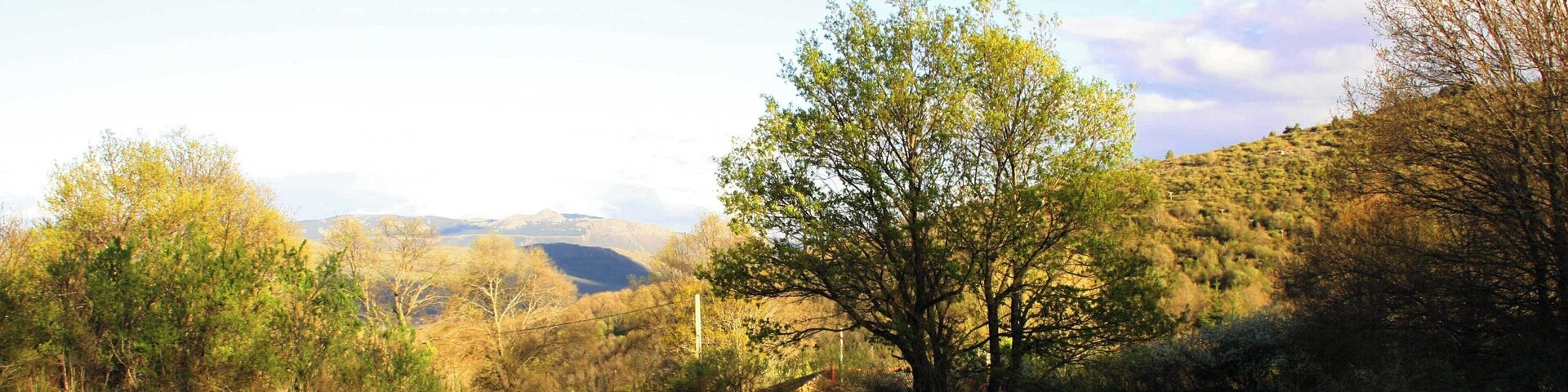 Un Prado de La Acebeda