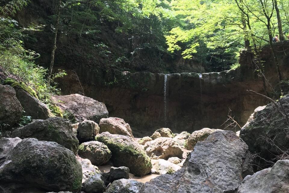 Um riacho pedregoso com uma cascata, rodeado por folhagem verde densa.