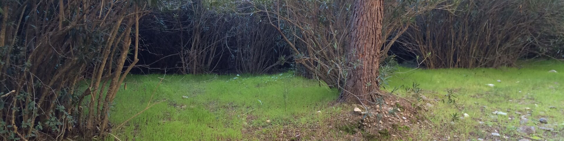 This is a photography of a Site of Community Importance in Spain with the ID: