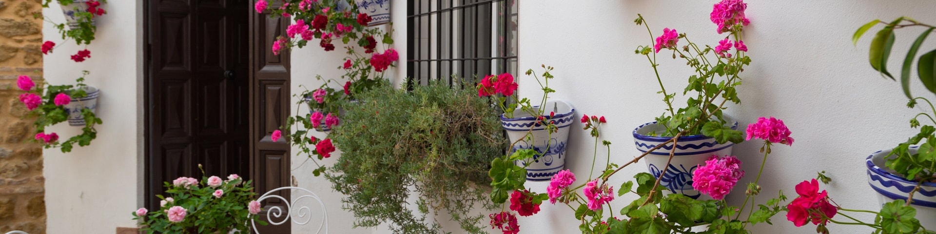 Cordoba Old City featuring a house and flowers