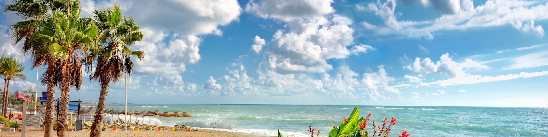 Uma praia com palmeiras, areal e o oceano sob um céu parcialmente nublado.