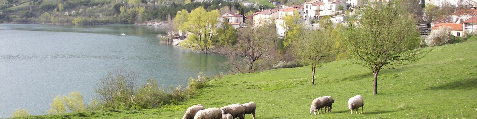 Parco Nazionale d'Abruzzo, Lazio e Molise