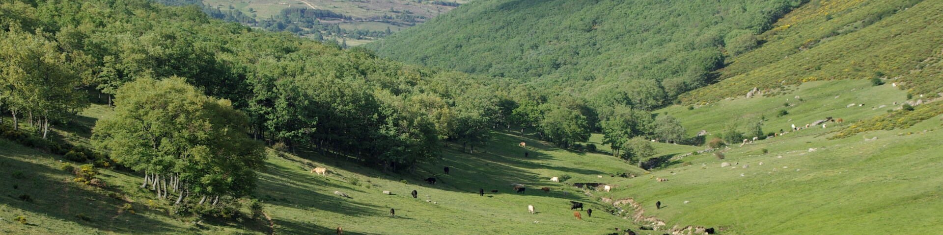 Fuente Berroqueña: River Adaja source. Near Villatoro (Ávila, Spain)