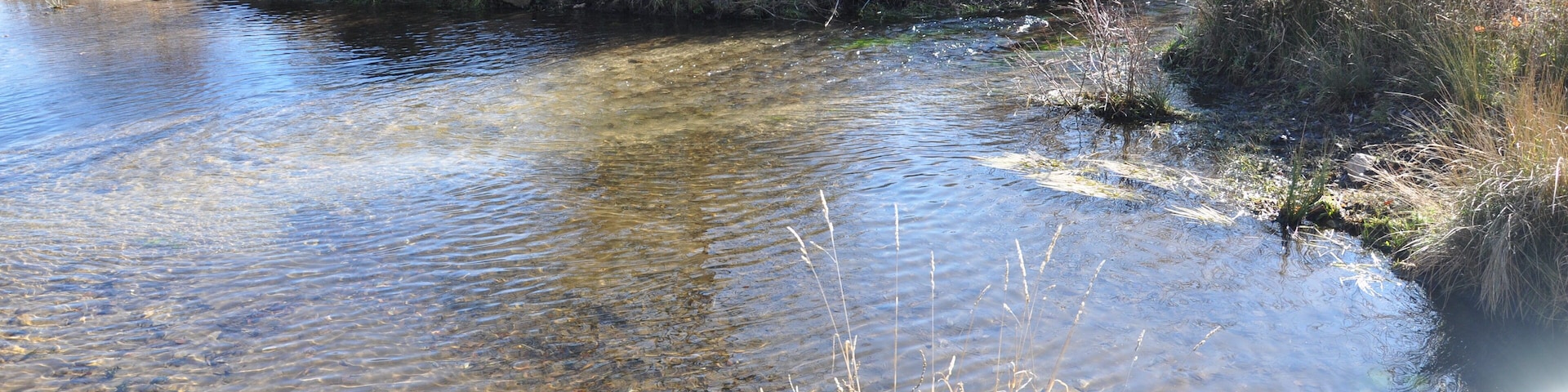 Río de la Hija, La Torre, Ávila, España.