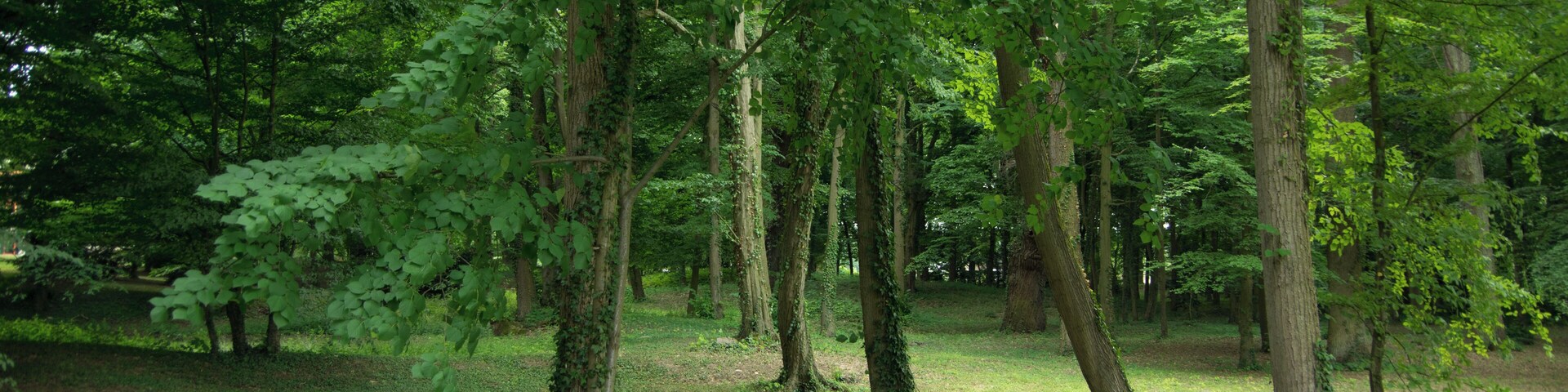 Gräben, Ortsteil Dahlen in Brandenburg.