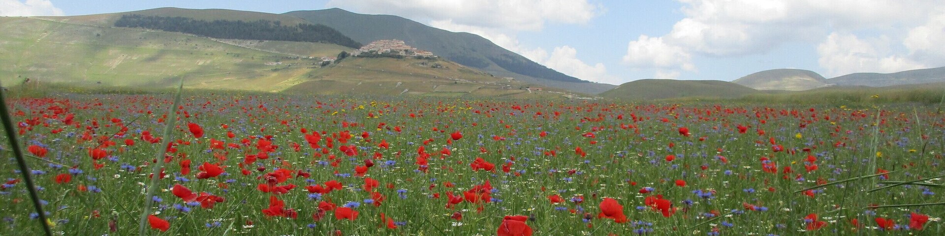 Castelluccio, Umbria, Italy