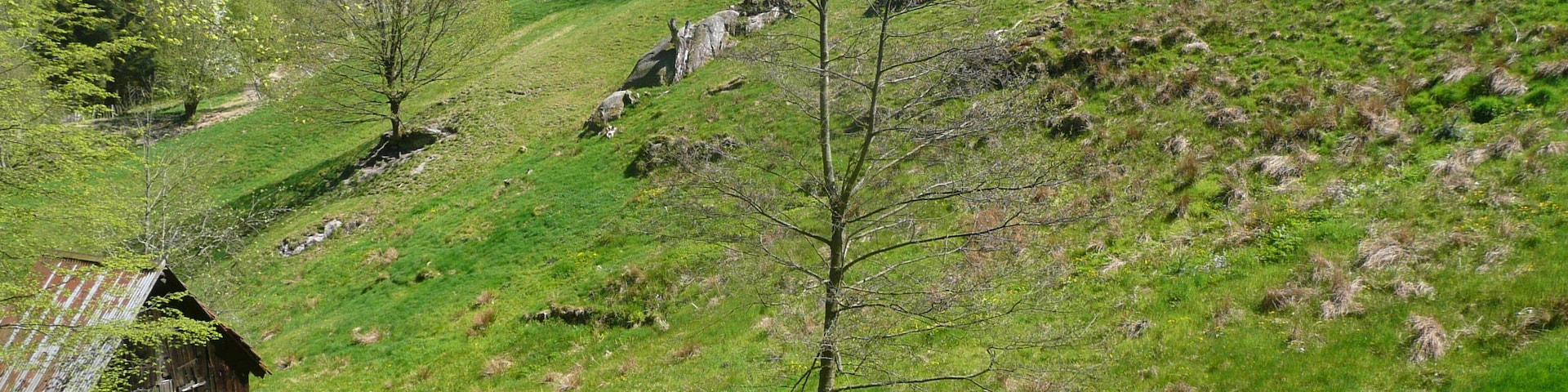 Fülllenbach, bergab fotografiert