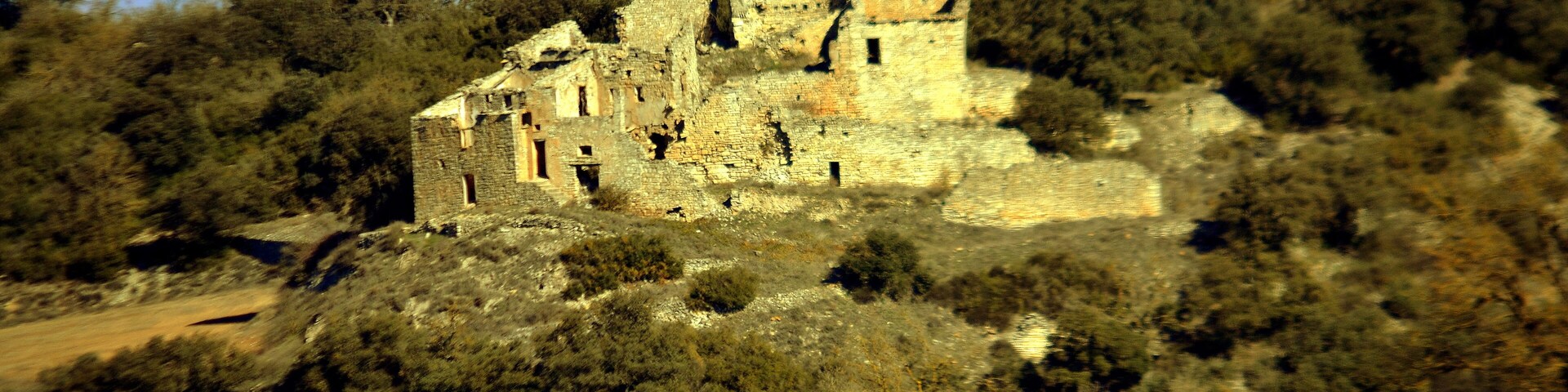 Mont-ros (Sant Ramon)