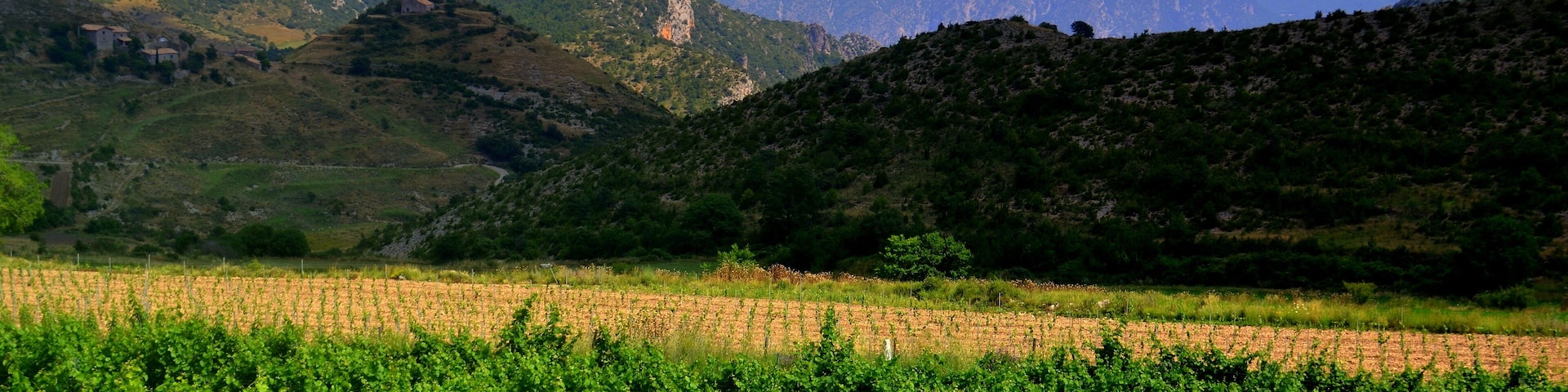 This is a a photo of a natural area in Catalonia, Spain, with id: