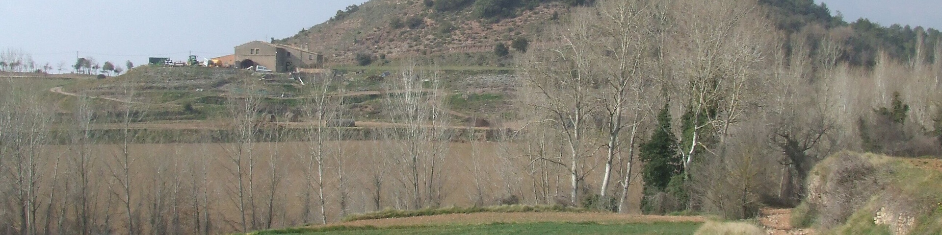 Turó de Sant Andreu (Moià, Moianès)