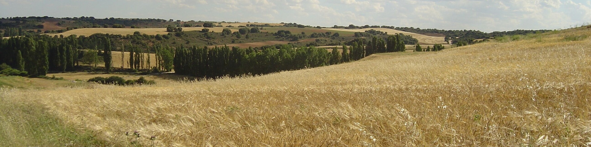 ALBENDEA4