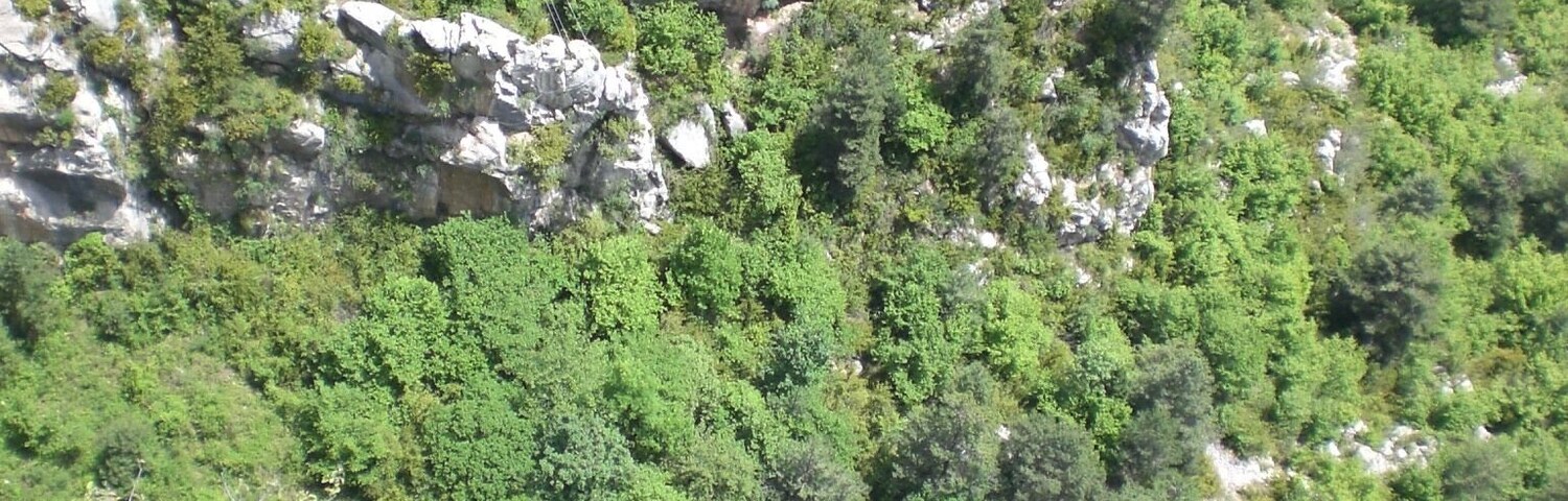Via ferrada Roques de l'Empalomar, Vallcebre (juny 2011)