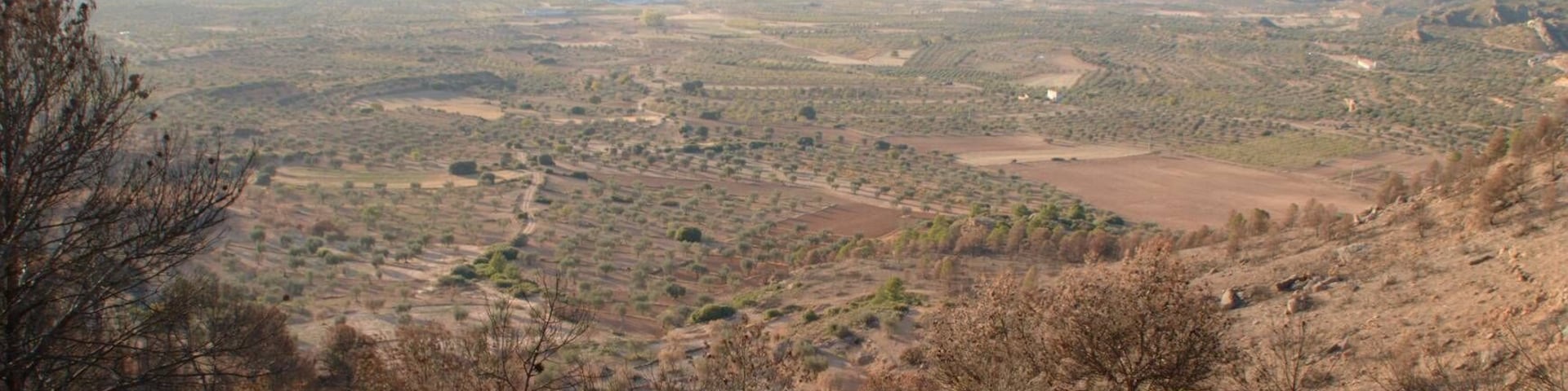 Vista desde el mirador de Alloza