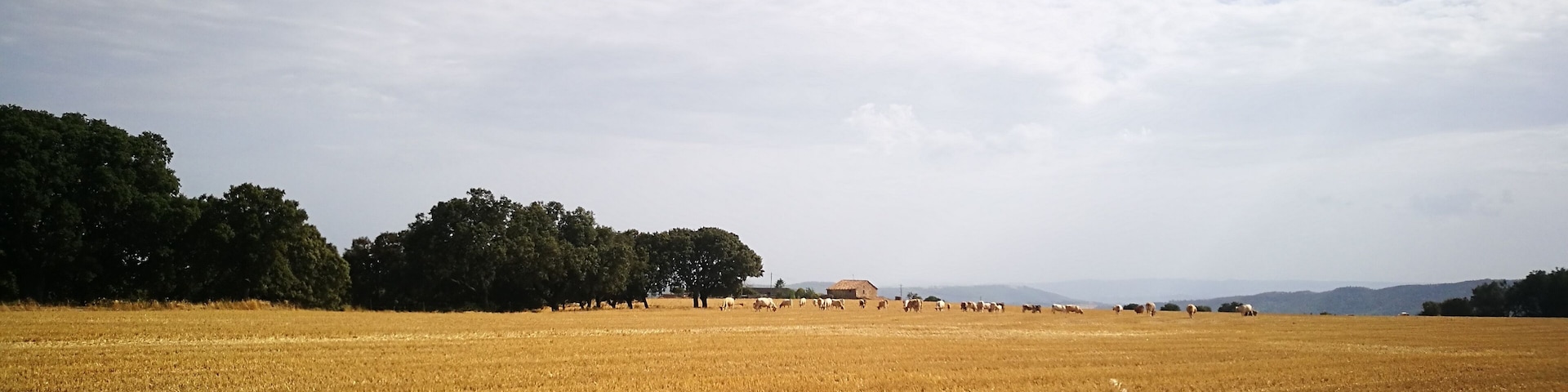 camp segat a Montclar