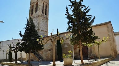 Uma igreja histórica com um campanário, rodeada por árvores e um pátio pavimentado.