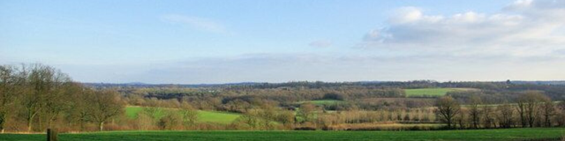 View from Wick Wood Viewed from the footpath corner by Wick Wood.