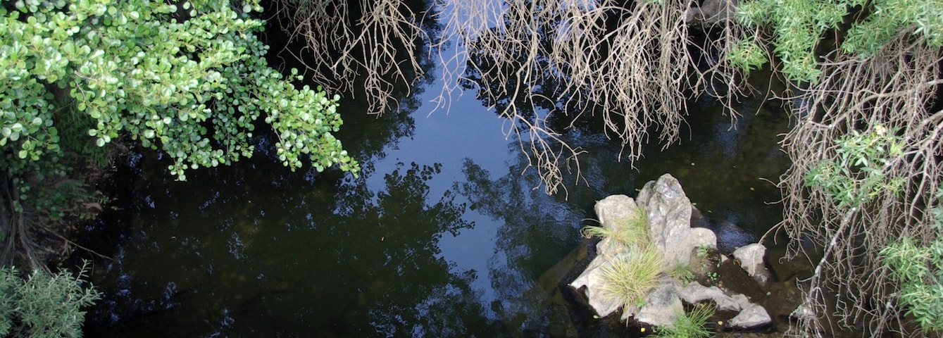 River Alagón in Santibáñez de la Sierra (Salamanca, Spain)