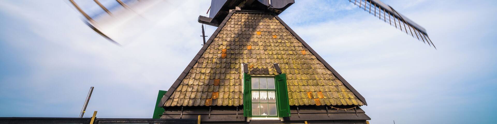 Go there for the famous windmills ! It's easily accessible from downtown Rotterdam by waterbus