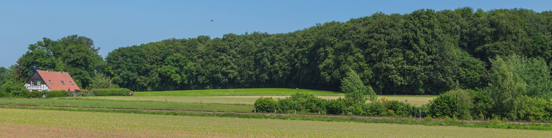 This is a picture of the protected area listed at WDPA under the ID