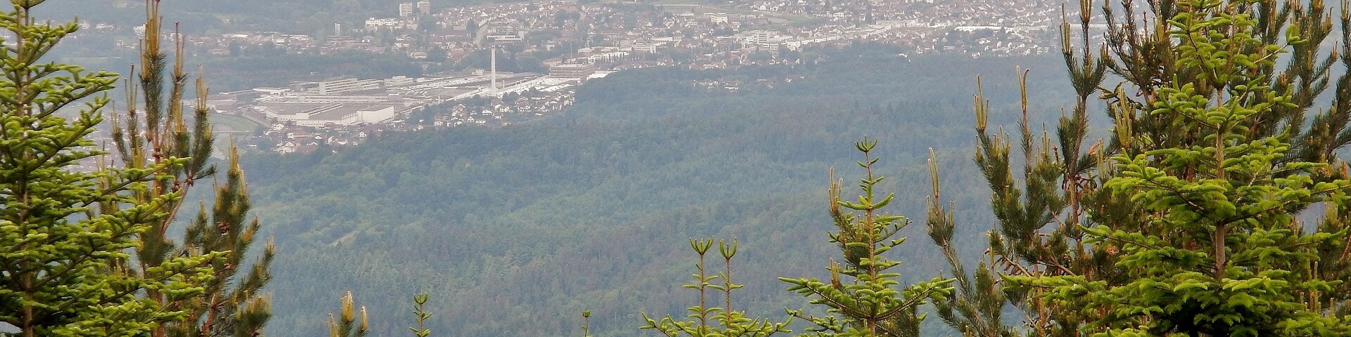 Ausblick Richtung Gaggenau (?)