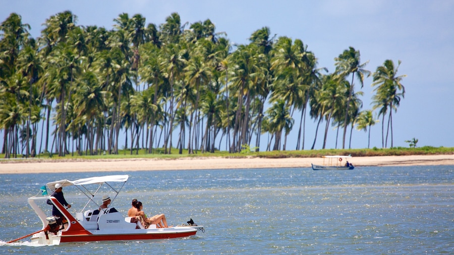 Tamandare showing a beach, tropical scenes and boating