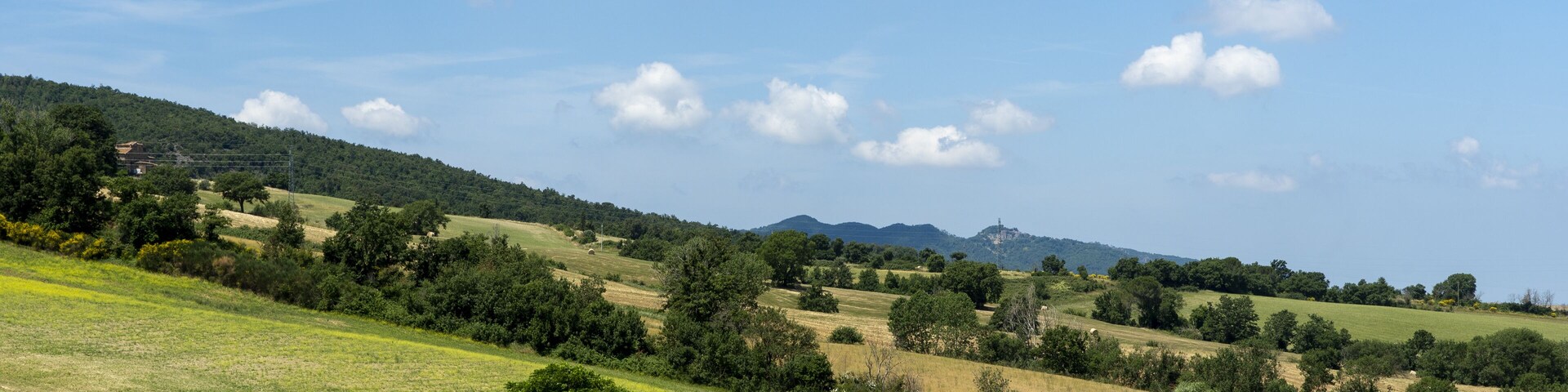 Um campo verde com uma árvore, colinas ondulantes e um céu azul claro com nuvens.