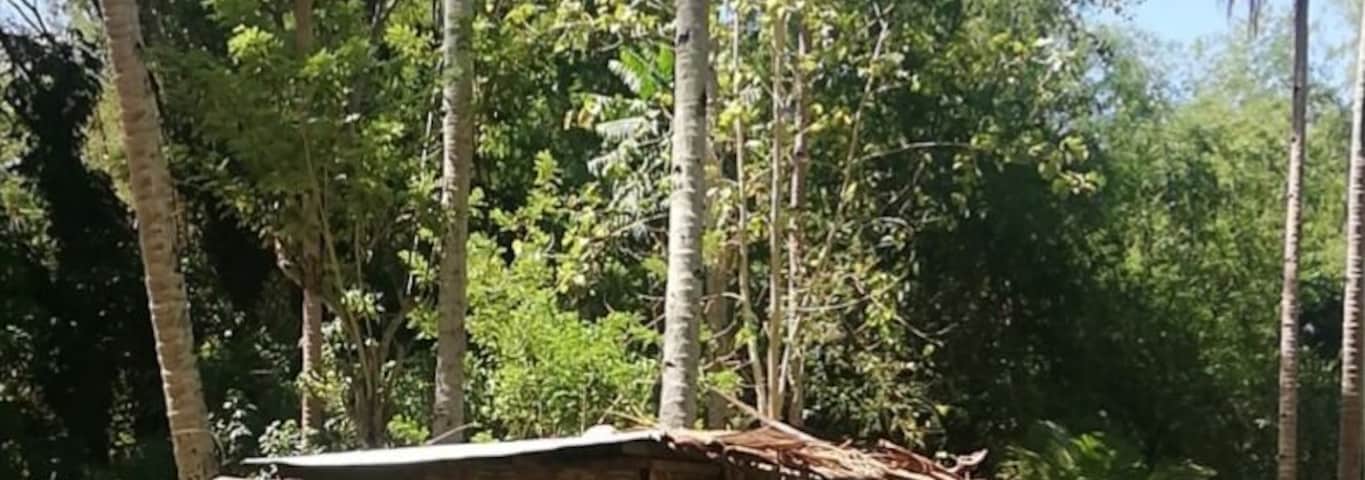 I visited some of my relatives in the province of Bohol and I was truly amazed by how I have seen their way of living.
It was my first time visited the place and I got amazed when they shared that this little tiny house used to be a home of a couple.
They called it "payag" in bisaya.
#payag
#nature
#coconut