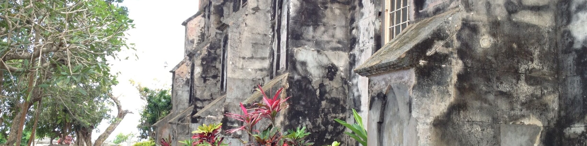 Take the island tour. Worth every penny...