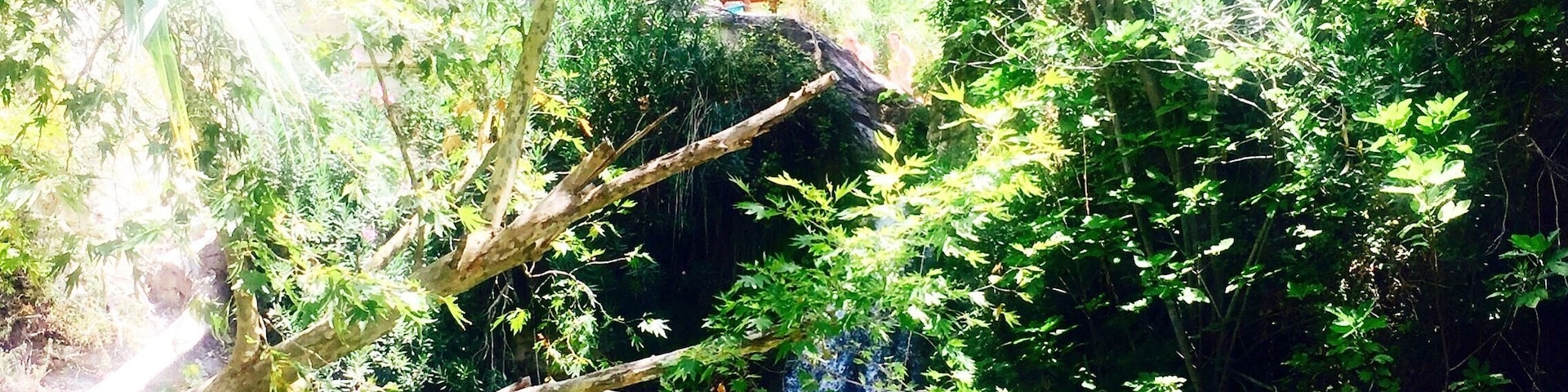 So amazing swimming in this fresh water and climbing the waterfalls