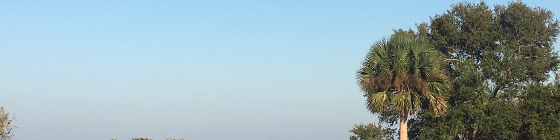 Views of Lake Apopka