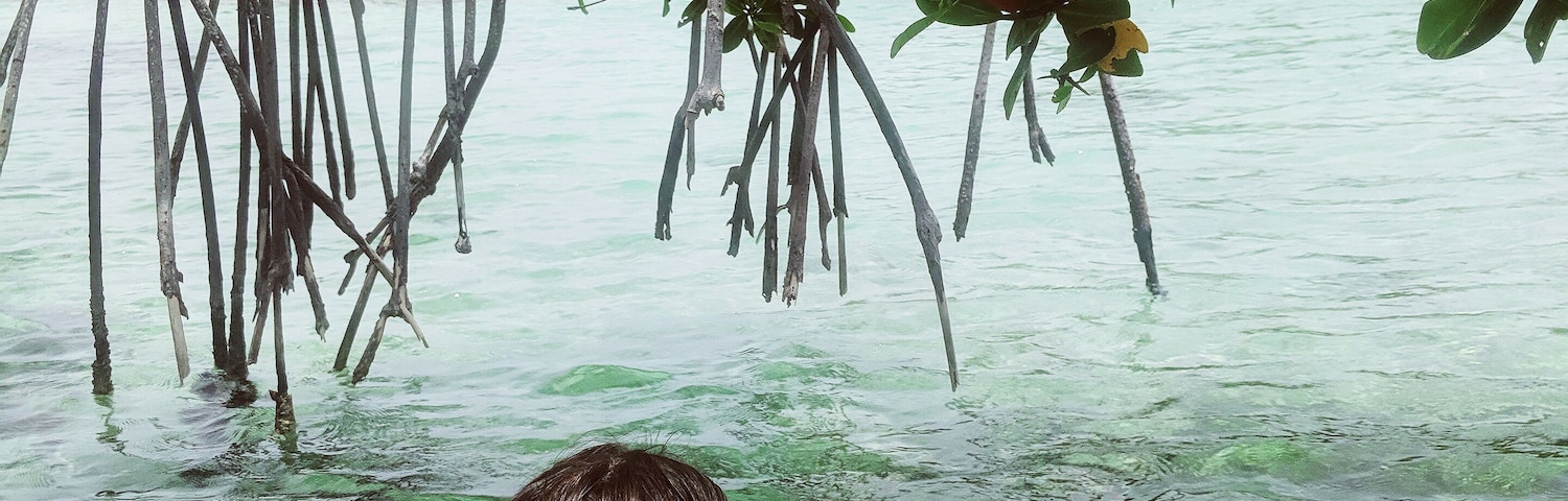 You can rent a boat in town and putter and swim among the mangroves. The #nature is absolutely breathtaking, the water is warm, and the islands are perfect for shallow swimming and wading all day. The boat shops open at 8am and are first come first served. Get there early to secure a boat and beat the crowd.