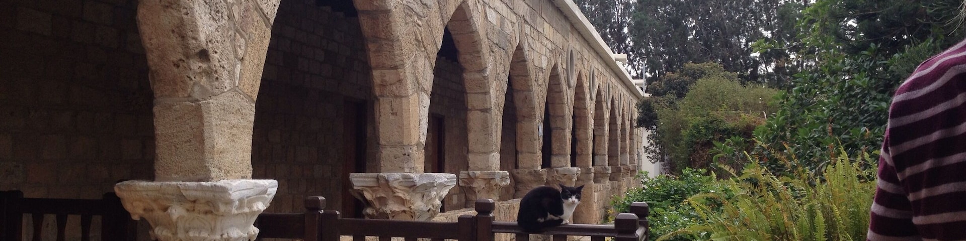 The Monastery St Nicholas of the cats, Cyprus