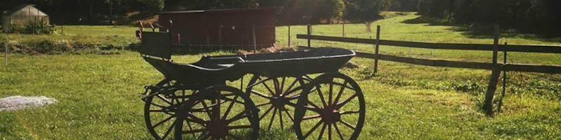 Helping out on the Stockholm archipelago during the Expedia Day of Caring 2016 #lifeatexpedia