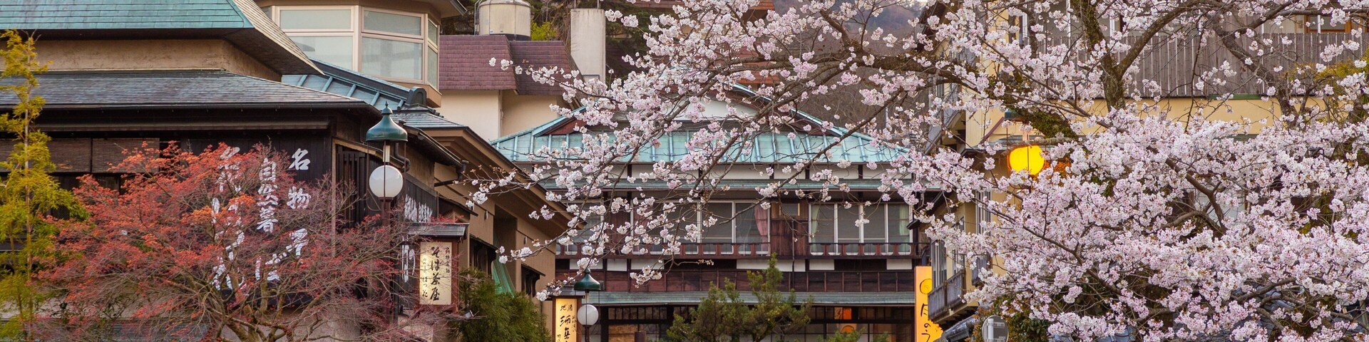 Hakone Hot Springs featuring street scenes and wildflowers