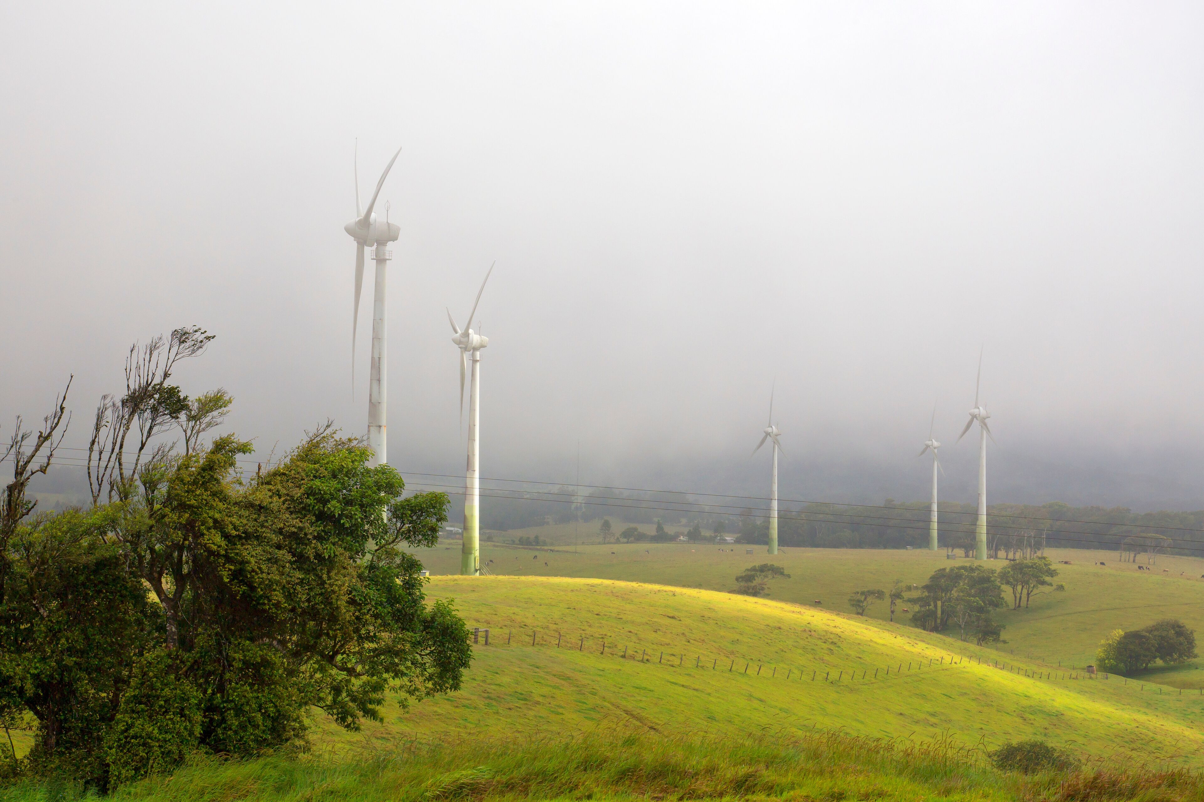 Turbinas eólicas numa colina com nevoeiro, relva verde e árvores.