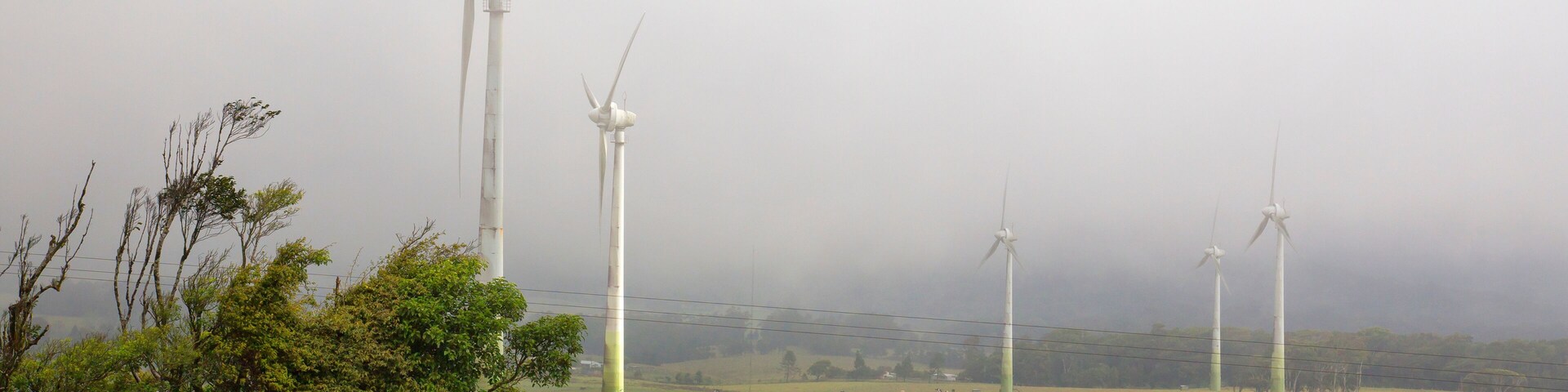 Turbinas eólicas numa colina com nevoeiro, relva verde e árvores.