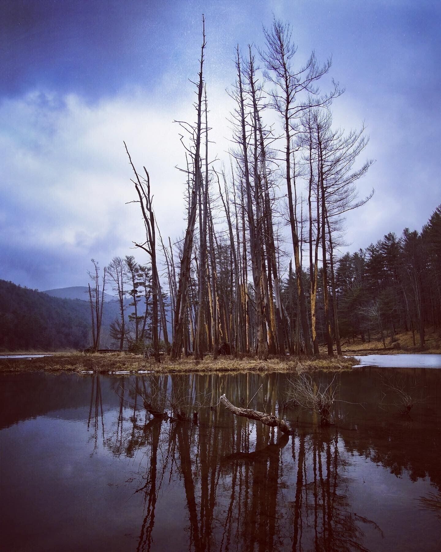 Beaver dam pond Little Pine State Park, Waterville Pennsylvania.