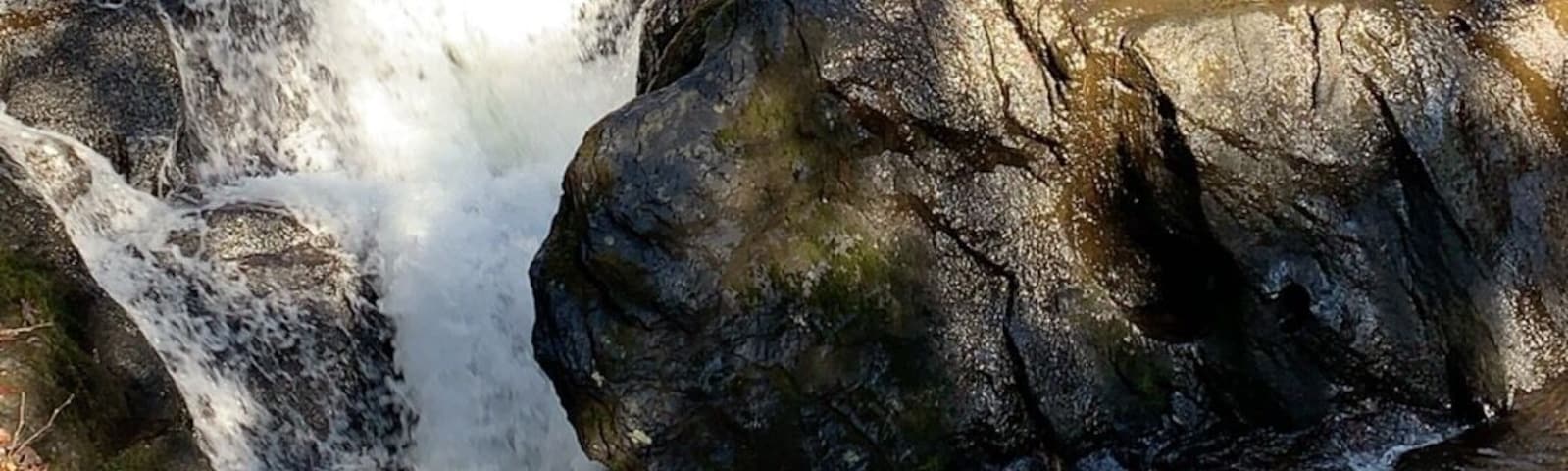 Spent a few hours hiking Wild Creek Trail at Beltzville State Park. The weather was sunny and beautiful. Nicole and I enjoyed the natural beauty and fresh air right in our backyard.