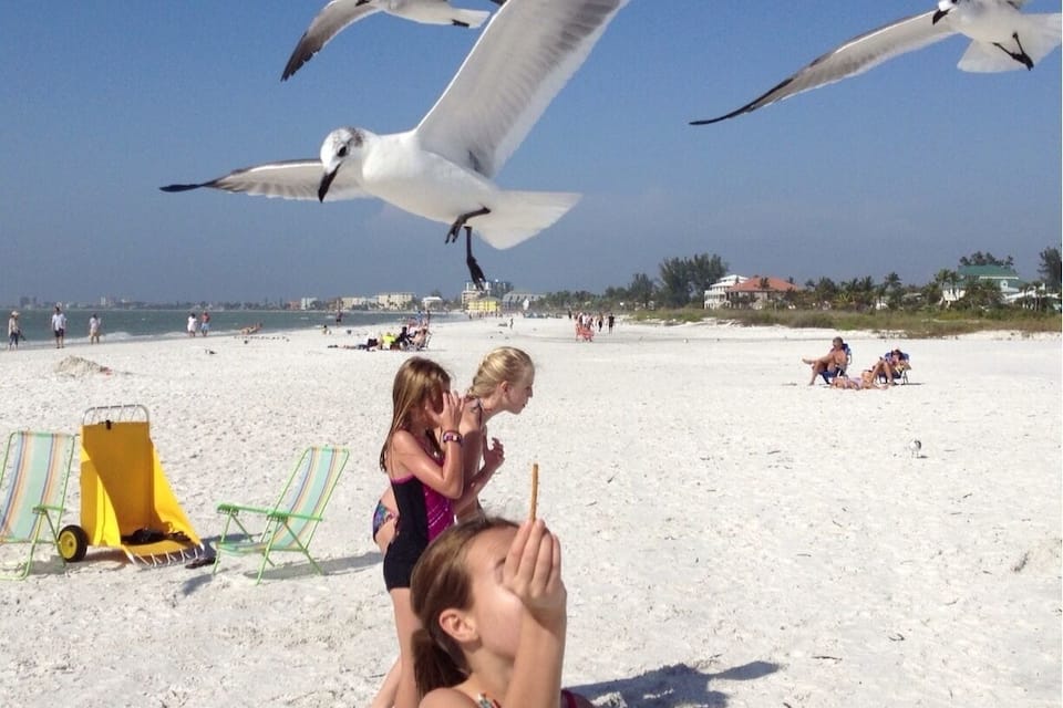 Uma praia com pessoas, cadeiras e gaivotas voando.