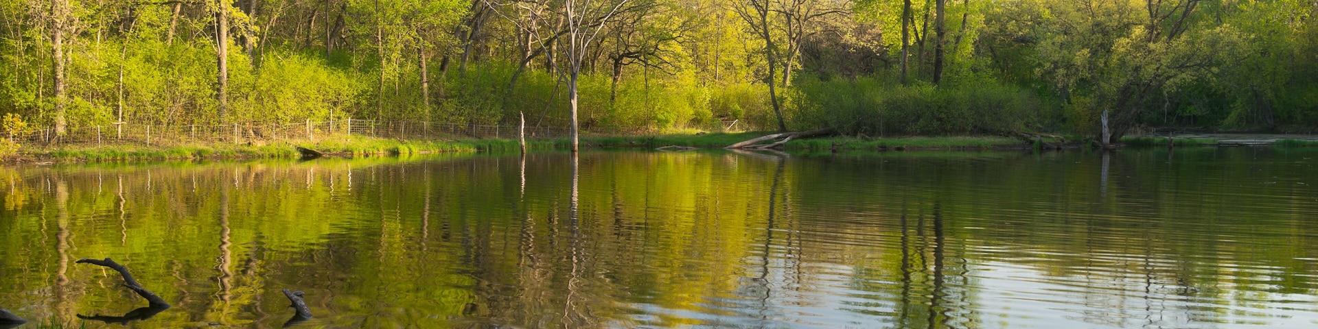 Um lago calmo rodeado por vegetação exuberante e árvores que refletem o céu.