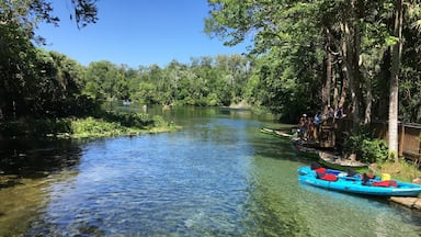 Rio límpido cercado por vegetação densa e árvores.