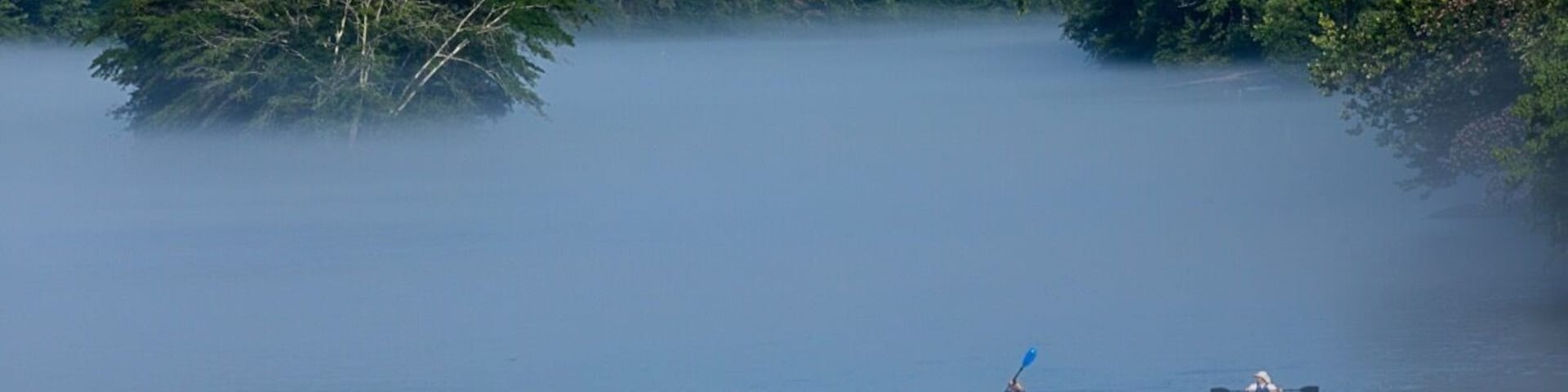 Um lago tranquilo rodeado por uma floresta densa.