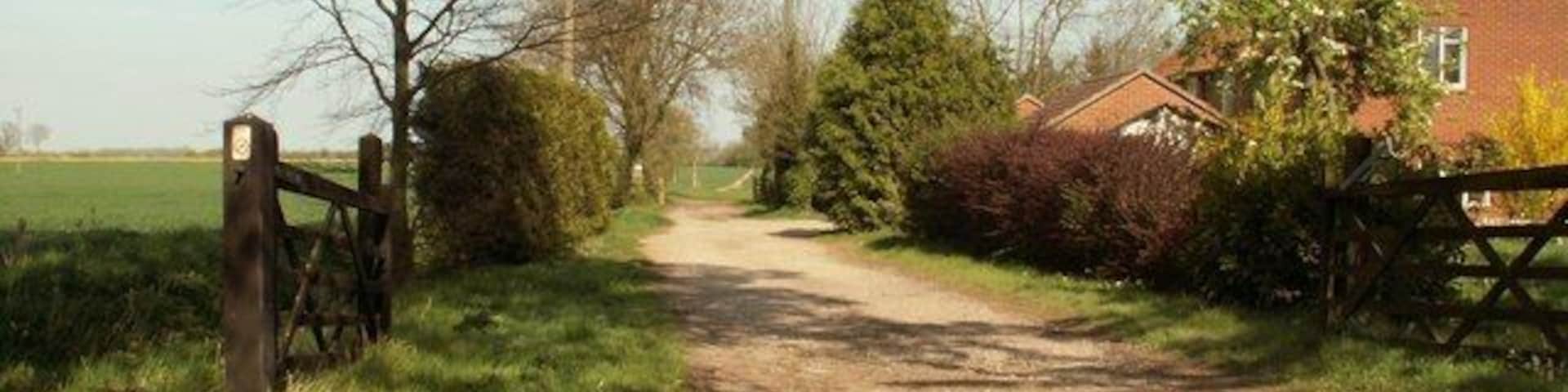 Uma estrada de terra rural que leva a uma propriedade murada, cercada por árvores e uma casa de tijolos.
