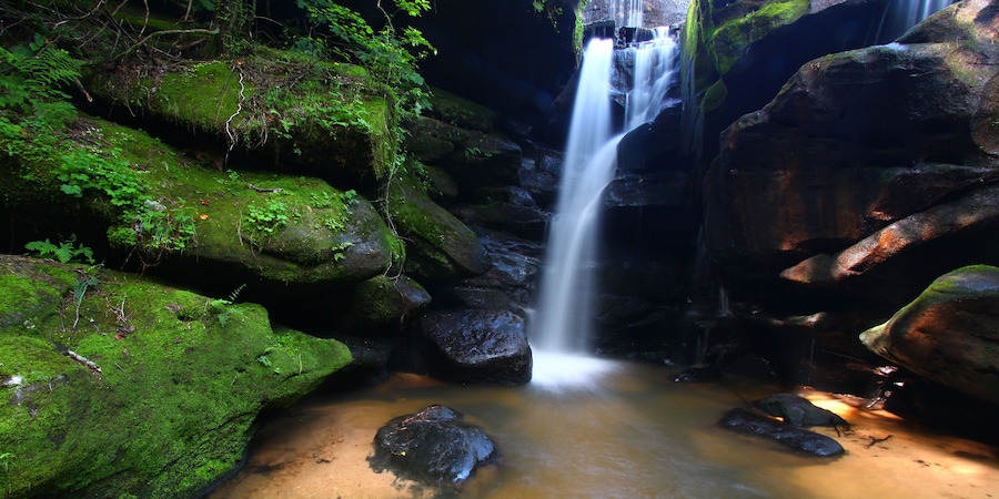Uma cascata desce sobre rochas cobertas de musgo em uma área arborizada.