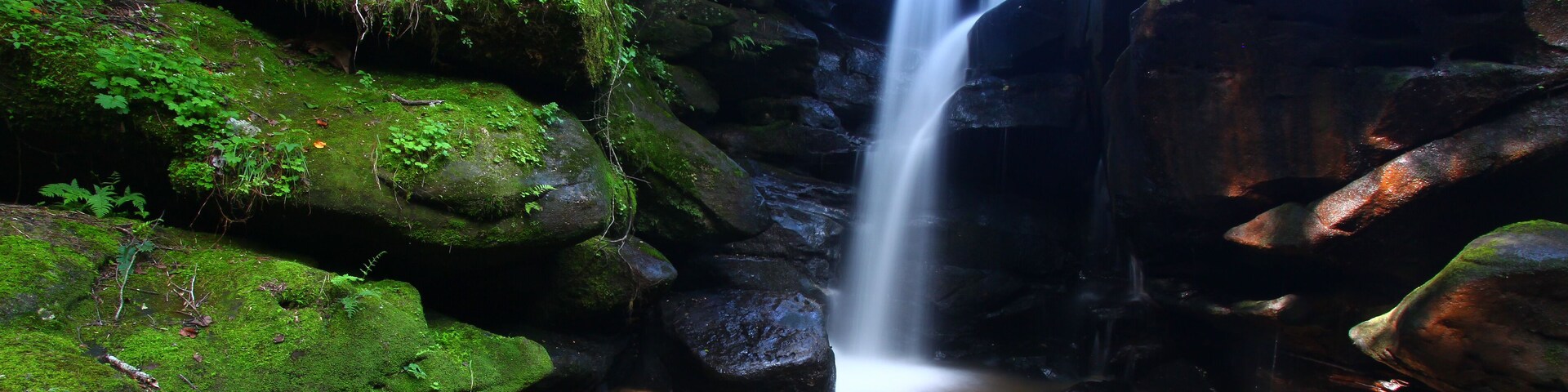 Uma cascata desce sobre rochas cobertas de musgo em uma área arborizada.